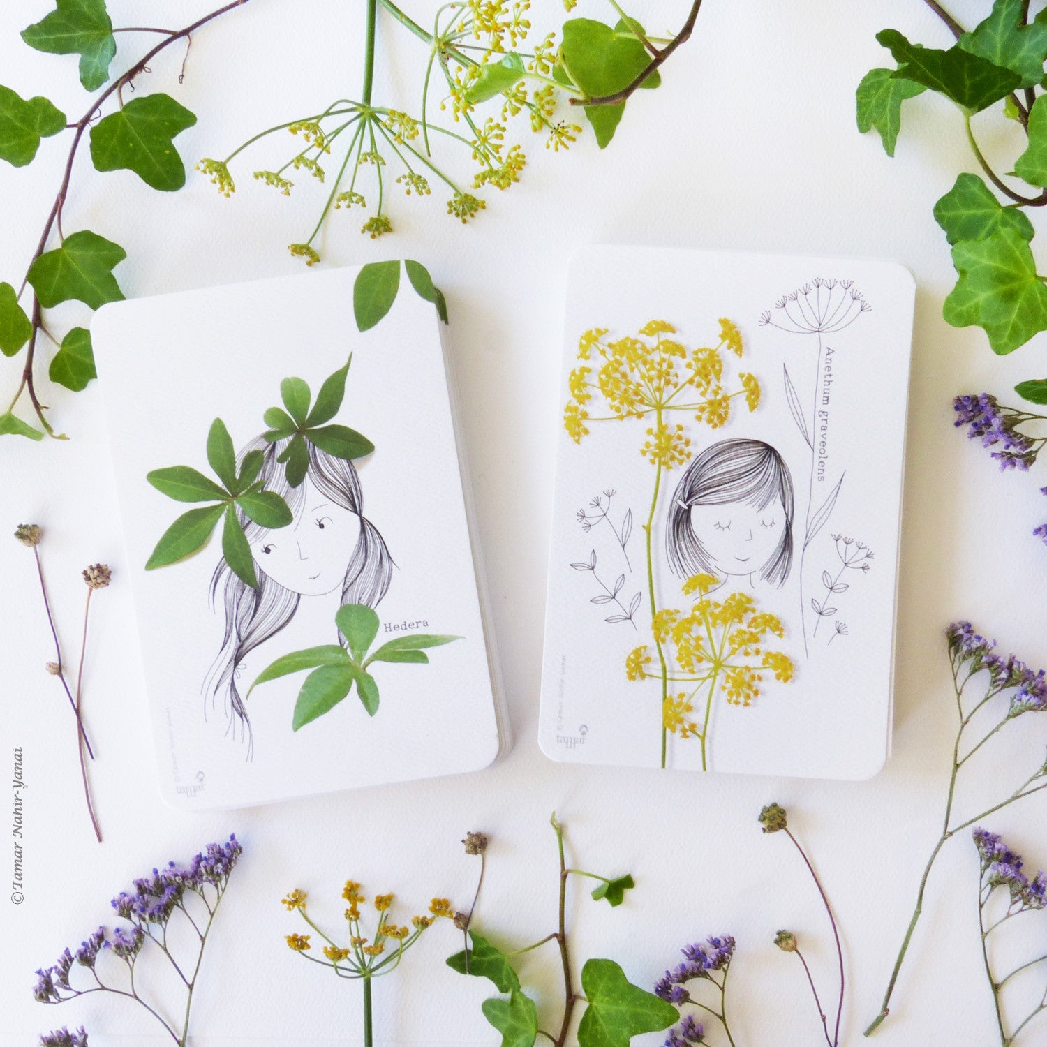 Cards – Tamar Nahir-Yanai